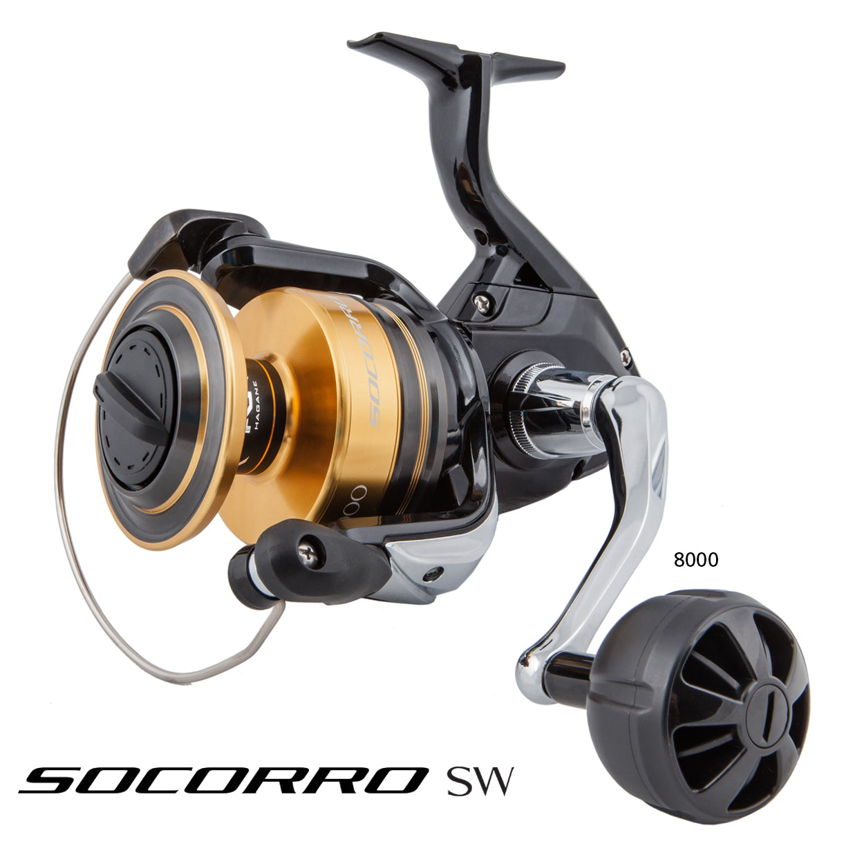 Shimano Socorro SW Reel – Anglerpower Fishing Tackle