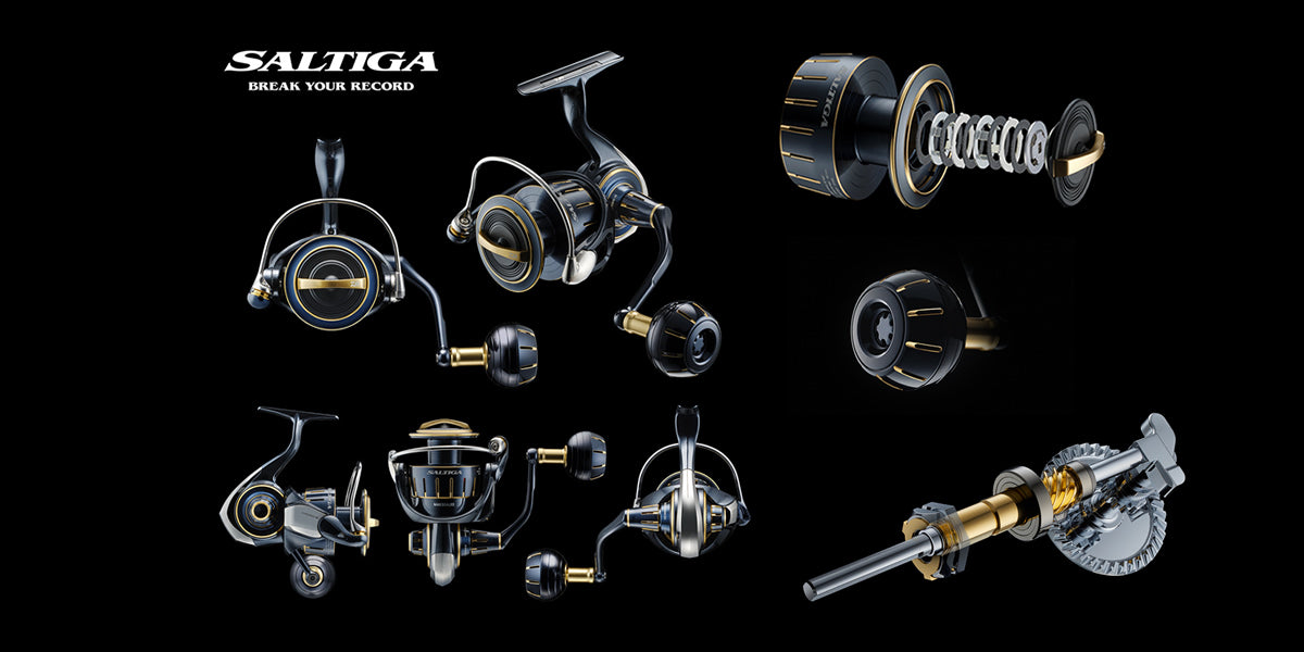 NEW DAIWA SALTIGA SIZE AVAILABLE NOW! – Anglerpower Fishing Tackle
